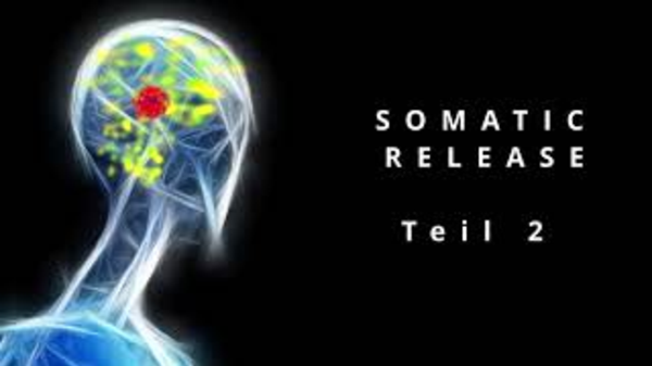 Somatic Release - Gespeicherte Emotionen lösen Teil 2 von Studio Deluxe - Markus Röder - Aikana