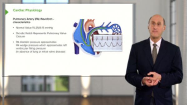 Introduction to the Cardiac System von Joseph Alpert, MD bei Aikana